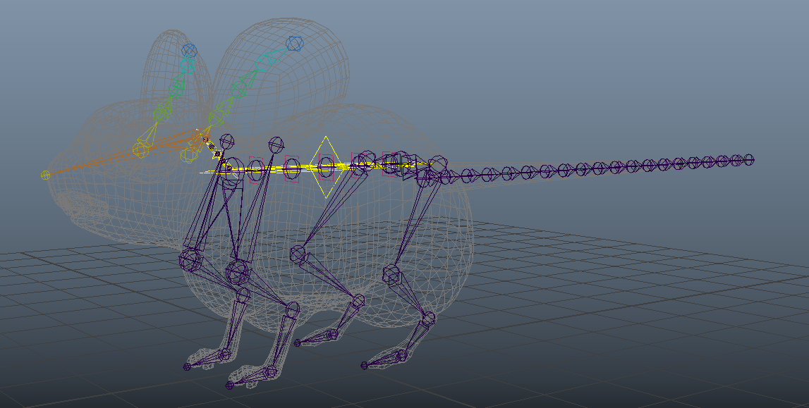 Mouse Rig – Josey Meyer